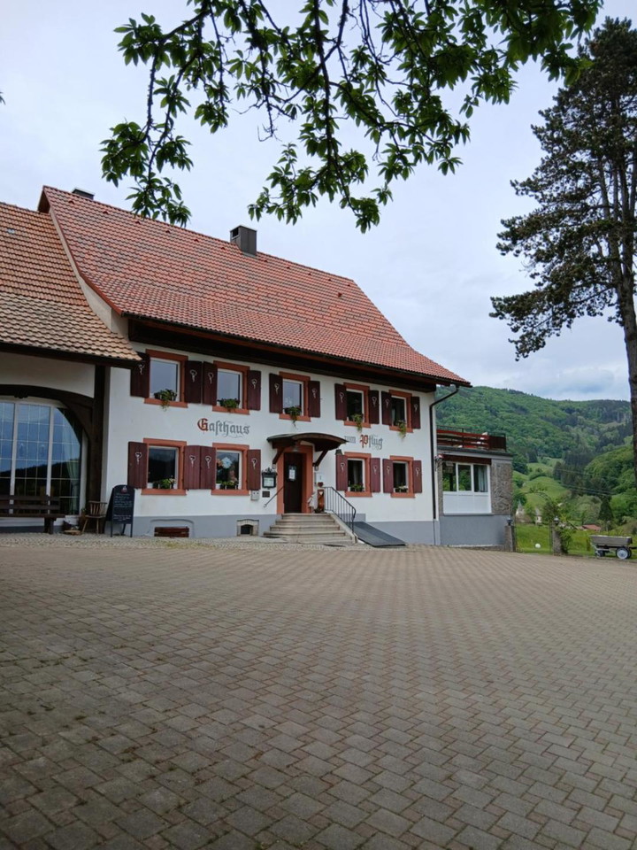 Hotel Landgasthof Zum Pflug - Schopfheim