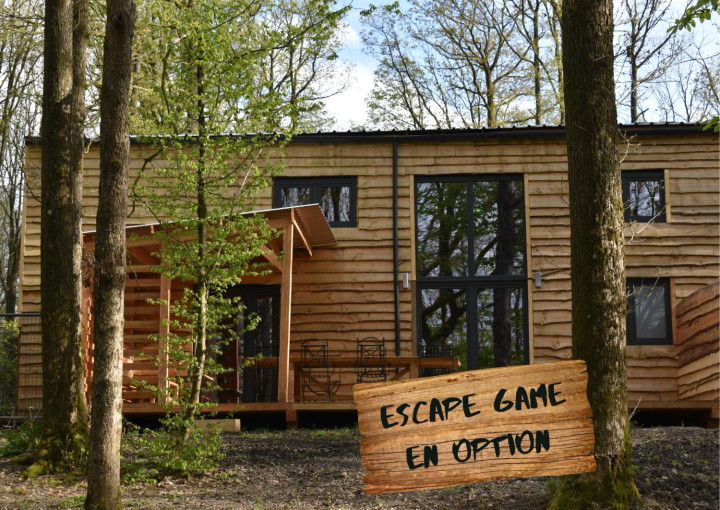Gite Cocon Dans La Forêt - Wallonie