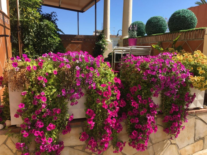 Apartment With Private Patio - Mijas