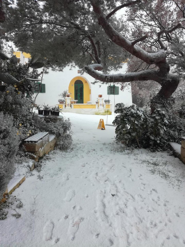 B & B Millefiori - Cisternino