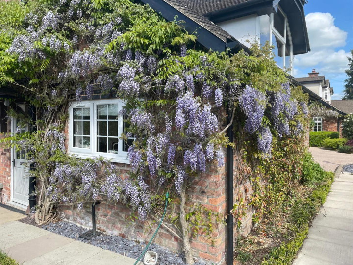 Curlew Cottage - Knutsford