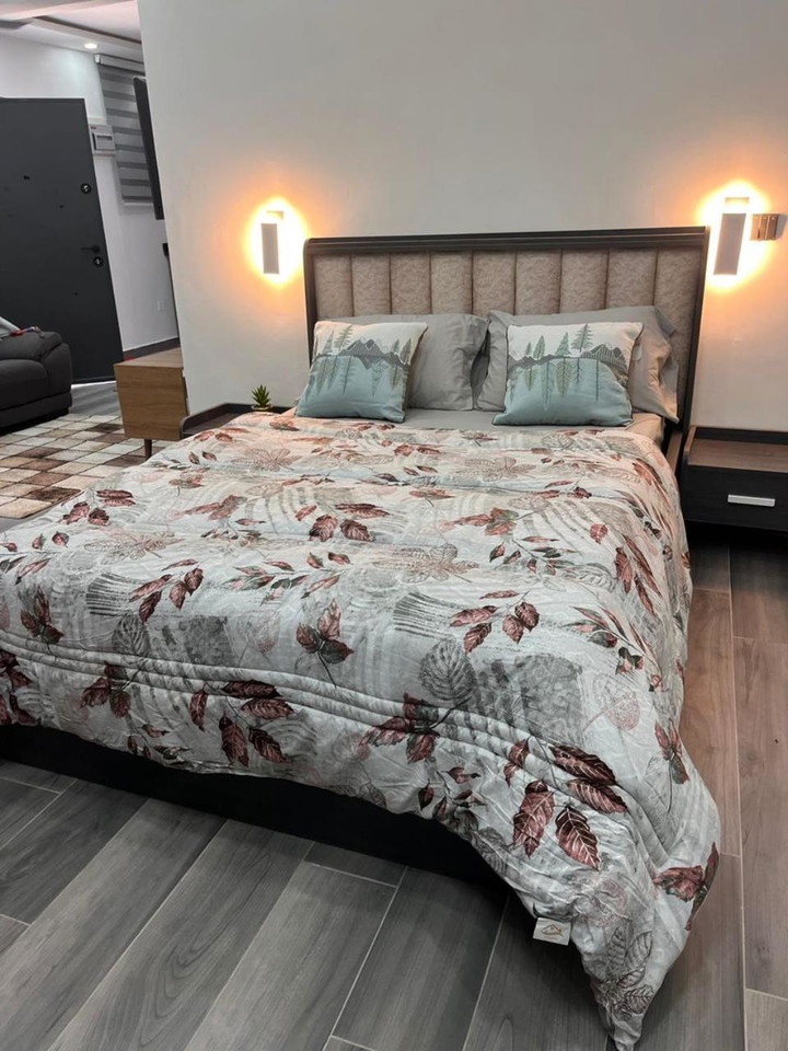Nba Plush Apartment - Nsroma - Accra
