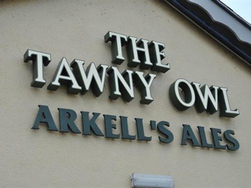 The Tawny Owl - Swindon