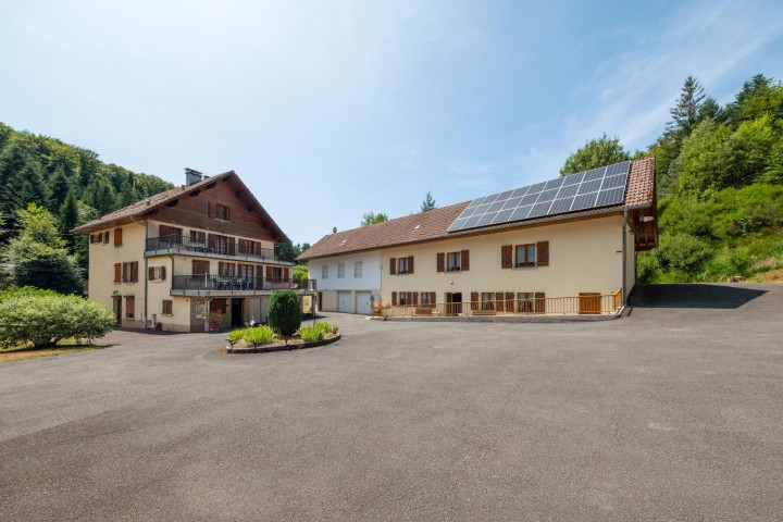 La Petite Caille - Appartement 10 - Plombières-les-Bains