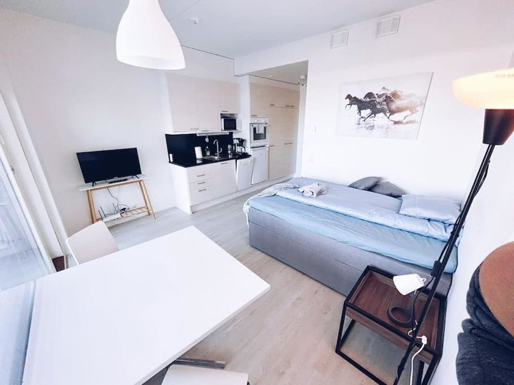 New Studio Furi Near Airport - Vantaa
