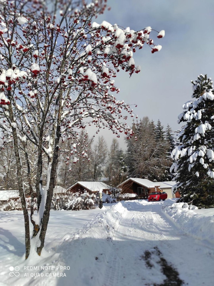 Chalet Accueillant Au Pied Des Pistes - Saint-Léger-les-Mélèzes