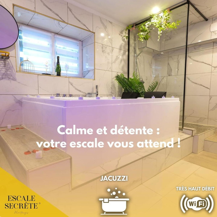Escale Secrète Montargis Jacuzzi Appart Climatisé Parking Gratuit - Montargis