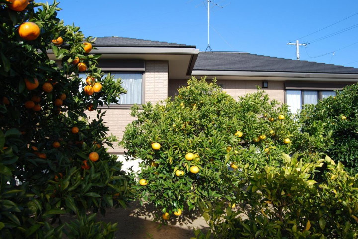 Minpaku Orange Garden - Vacation Stay 18601 - Ise