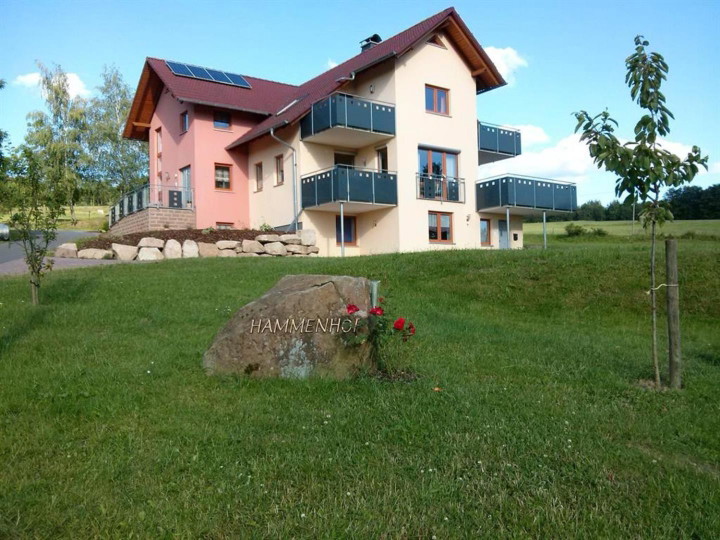 Ferienwohnung Hammenhof - Poppenhausen