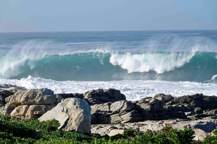 Whales & Waves - Hermanus