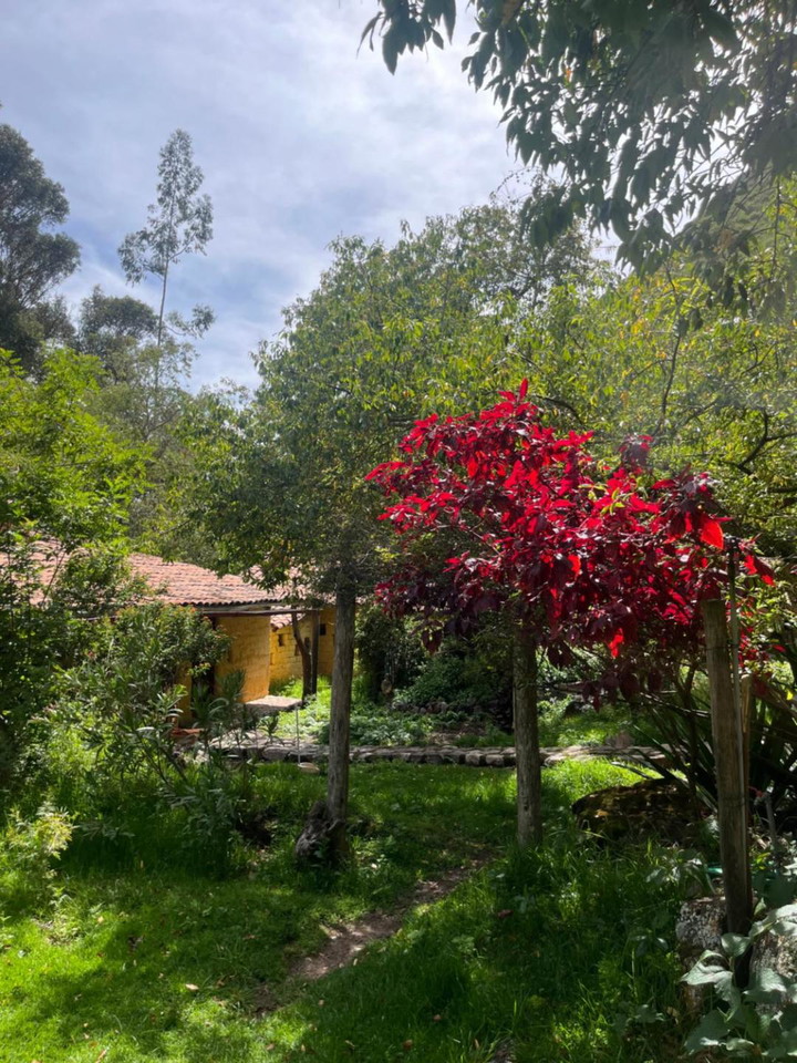 Las Chullpas - Urubamba