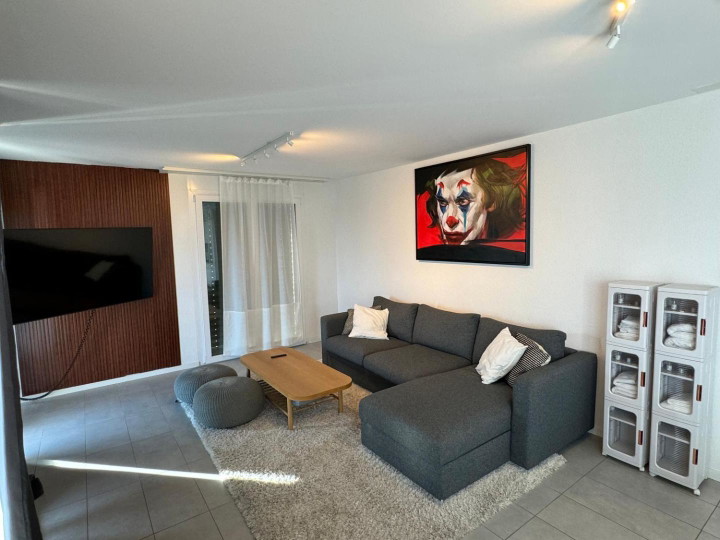 Great Apartment In Lausanne - Lausanne