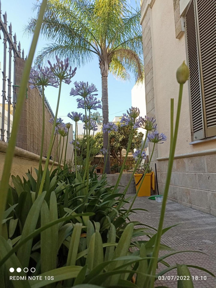 Villa Confalonieri - Tricase