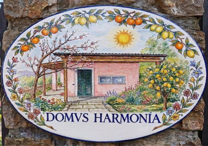 Domus Harmonia - Forio