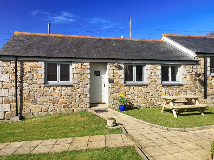 Elm - 31304 - St Agnes