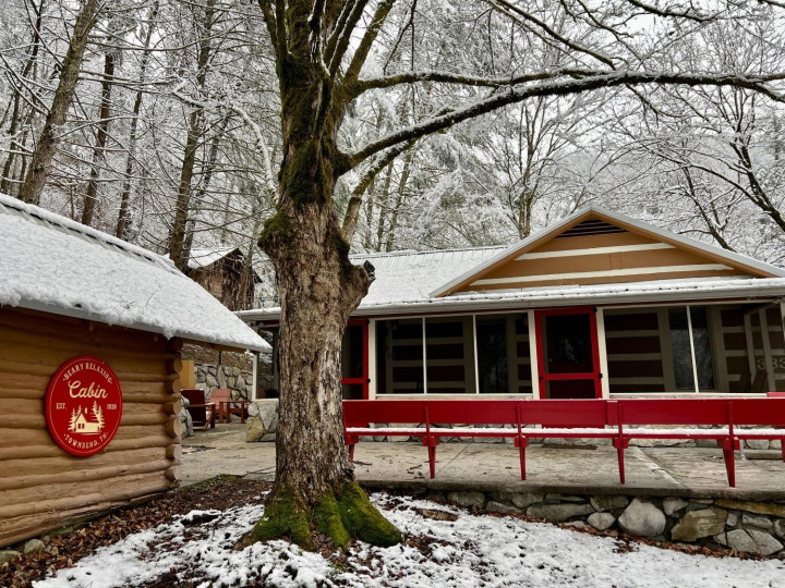 Beary Relaxing Cabin - Rustic With Outdoor Patio - Townsend, TN