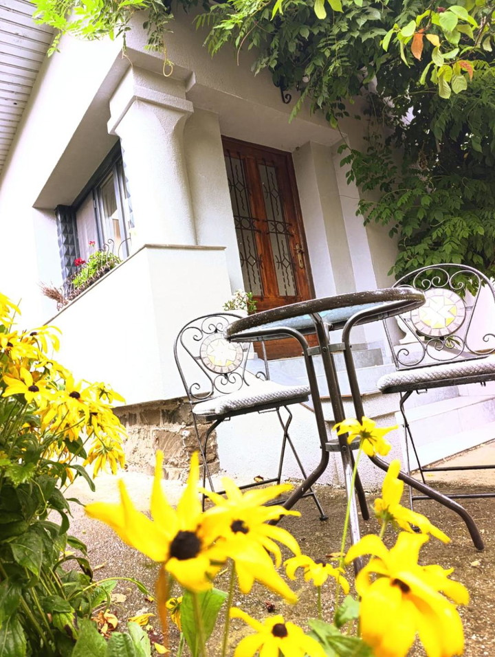 Casa Cu Trandafiri - Transylvania