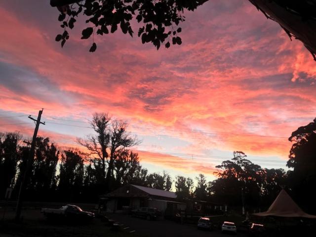 Couple Retreat, Pet Friendly Bilpin - Sydney