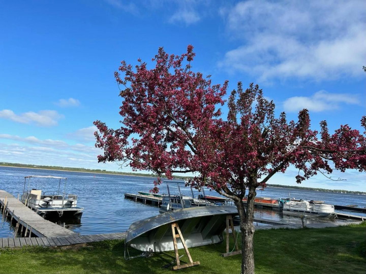 Myriad Fins Cottage And Marina - Lindsay