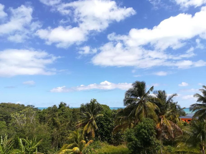 Haut De Villa Avec Vue Sur La Mer - Guadalupe