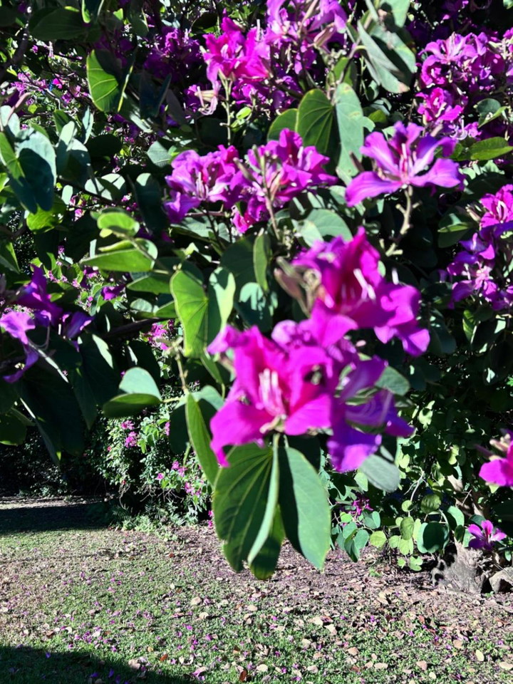 Island Retreat 4819 - Ville de Townsville