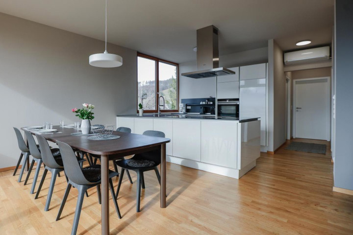 Fantastische Penthousewohnung Mit 100 M2 - Klimatisiert - Feldkirch