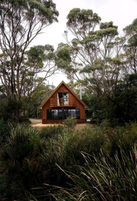 Periwinkle At Great Bay - Tasmania