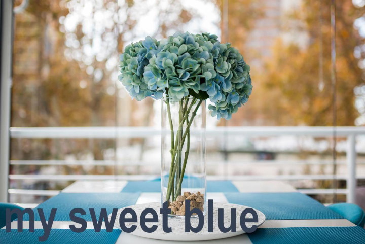 My Sweet Blue Apartment - Altea