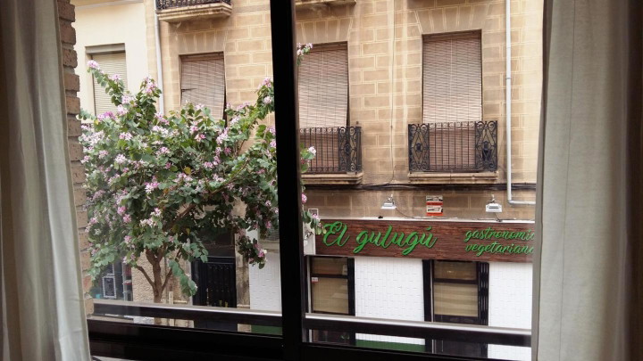 Poeta Campos Vasallo 19 - Alicante (Alacant)