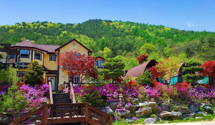 Chaeul Pension - Pyeongchang-gun