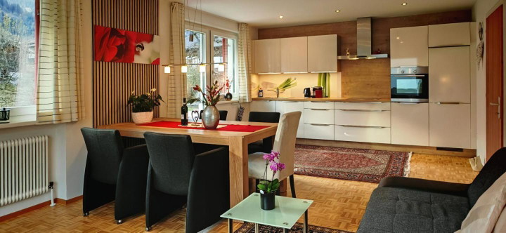 Ferienhaus Amann - Schruns