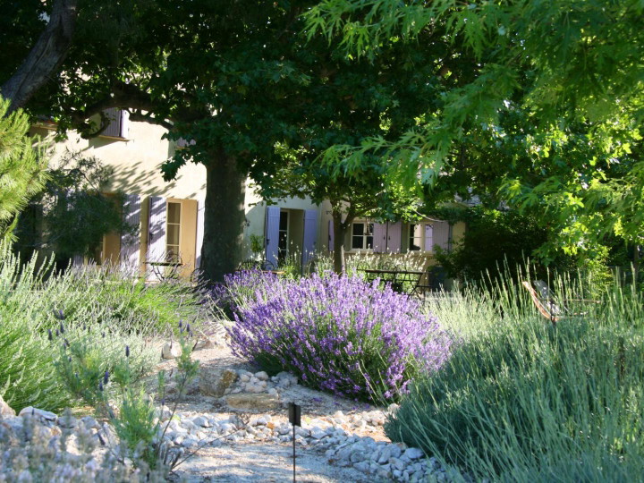 Couleur Lavande - Monteux