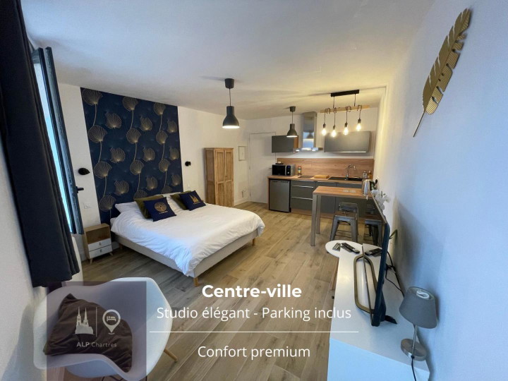 Studio Central, Parking, Lit Queen Size Par Alp Chartres - Centro