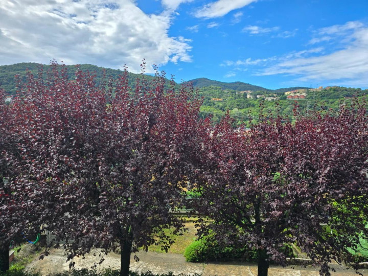 Cà Nulcin - Cernobbio