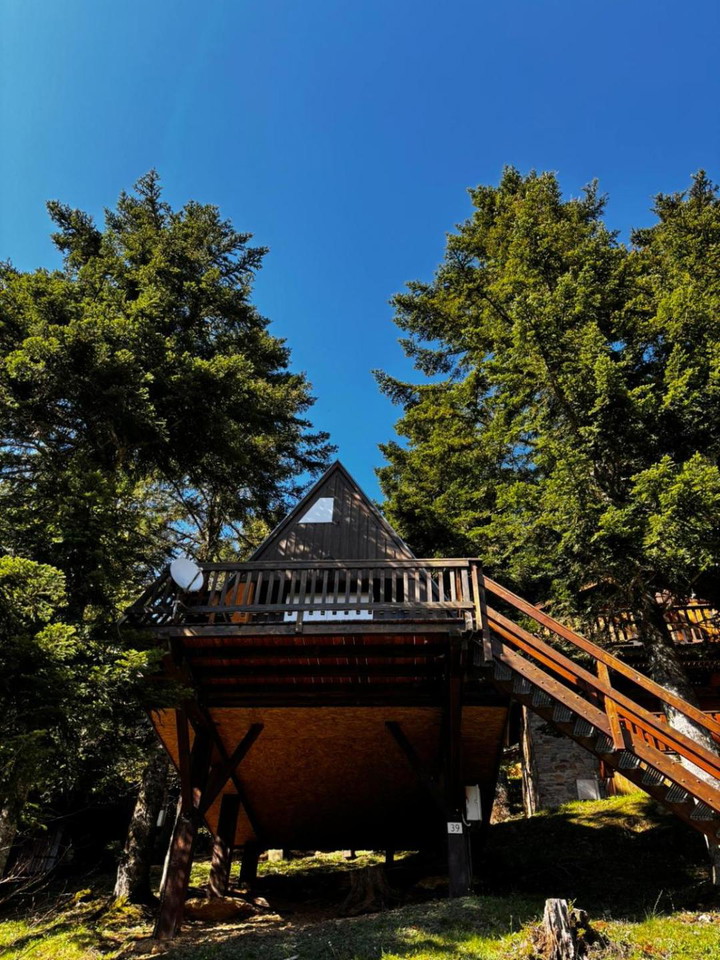 Chalet De Montagne - Guzet-Neige