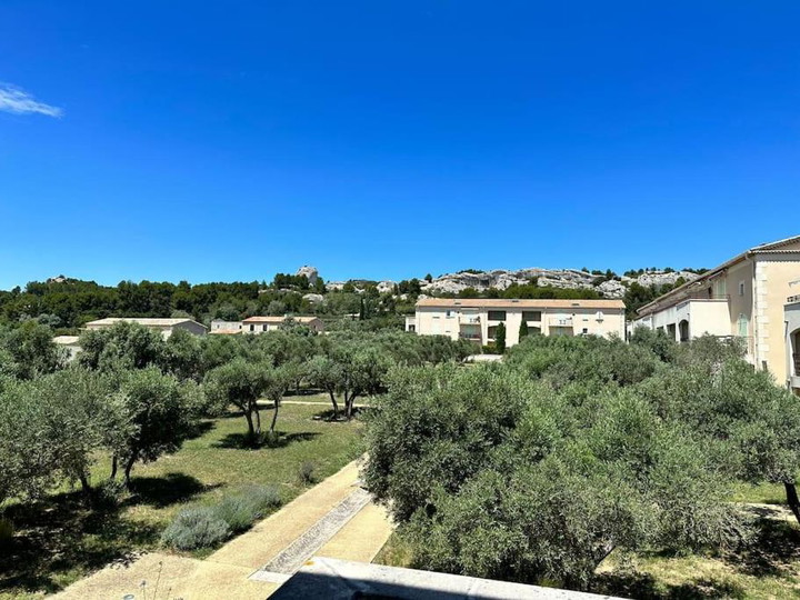 Lou Olivie, Appartement Climatisé Avec Piscine Aux Pieds Alpilles - Camargue