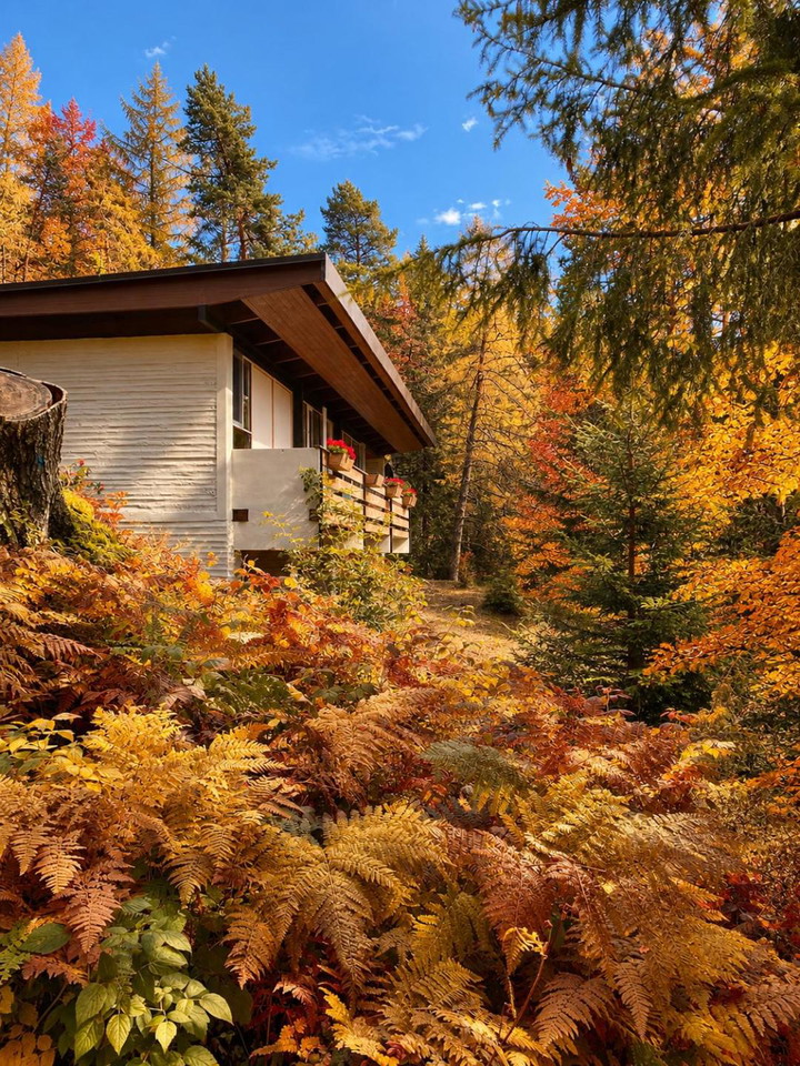 Ca'mugo, A Chalet In The Magic Woods, Near Cortina - Cortina d'Ampezzo