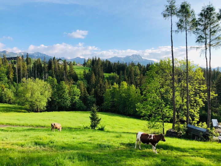 Tatrzańska Polana 5f - Zakopane