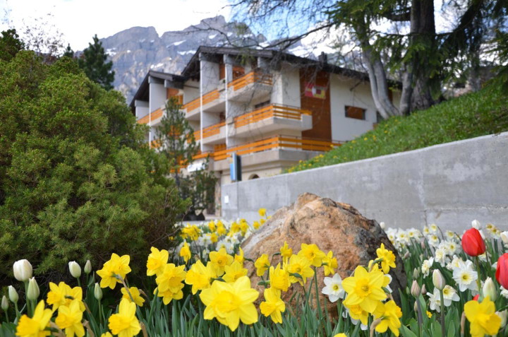 Hotel Alex - Adelboden