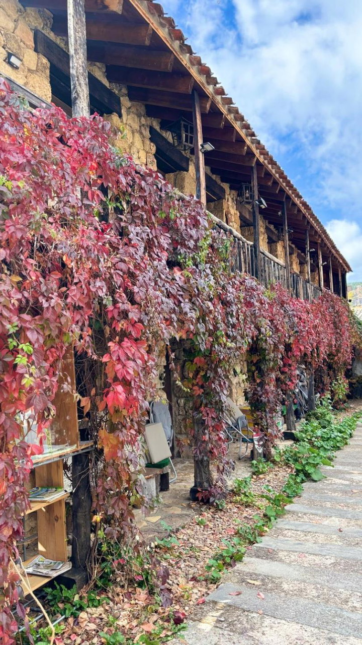 Casas Rurales Chon Alto Tajo - Peralejos de las Truchas