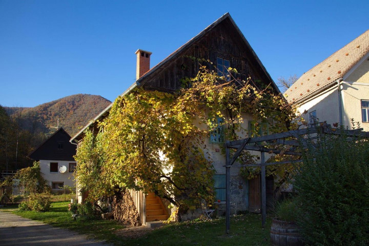 Vintage House Podliparska - Slowenien