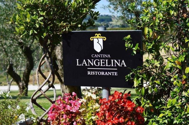 Cantina Langelina - Marche