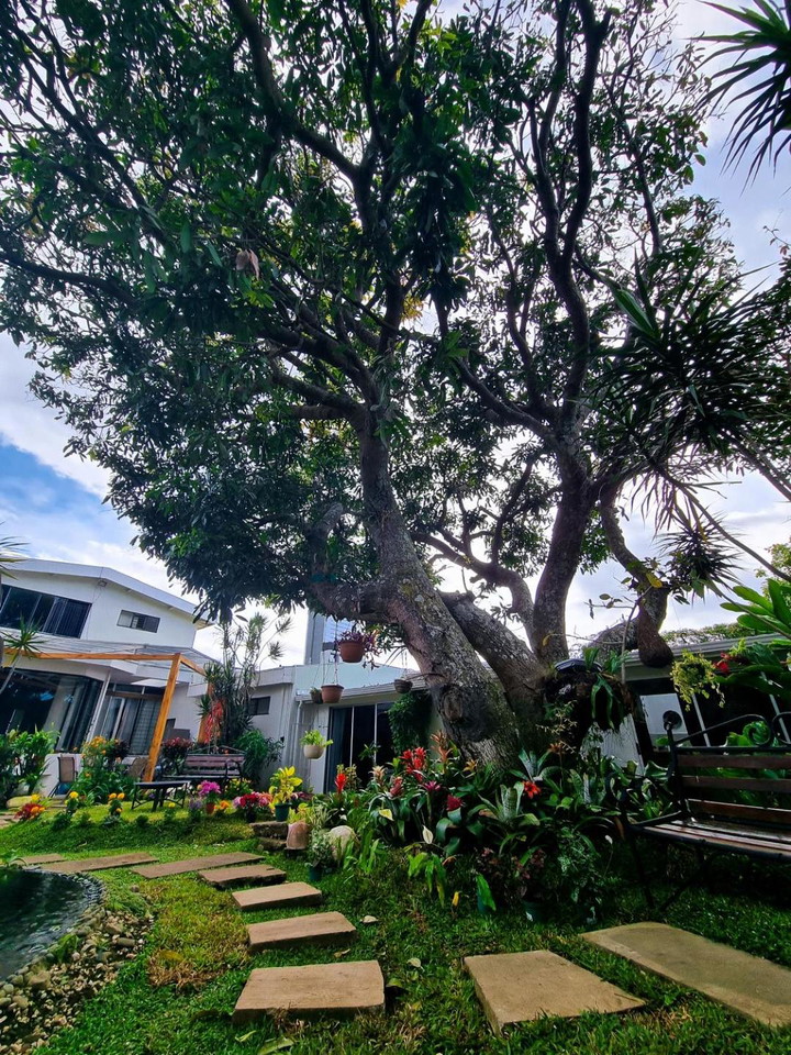 Casa Jardin Del Mango - San José