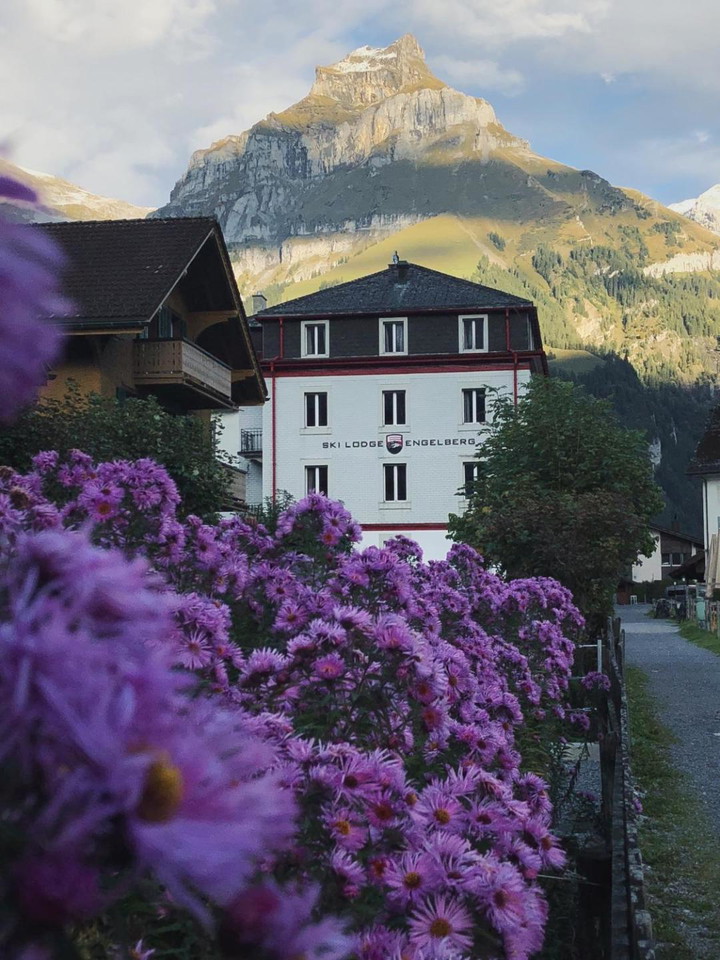 Ski Lodge Engelberg - Engelberg