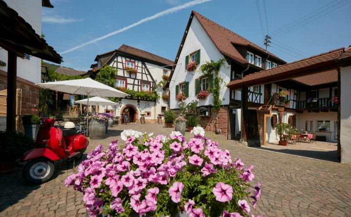 Gasthof Zum Lam - Wissembourg