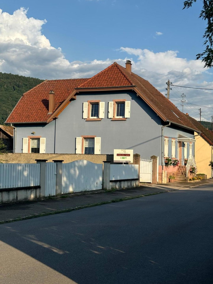 Gîte Au Secret Des Vignes - Guebwiller