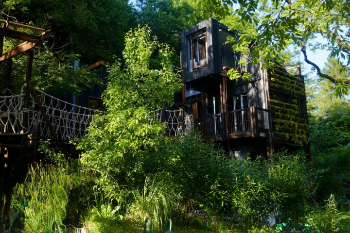 Zero Zero Treehouse - Symonds Yat