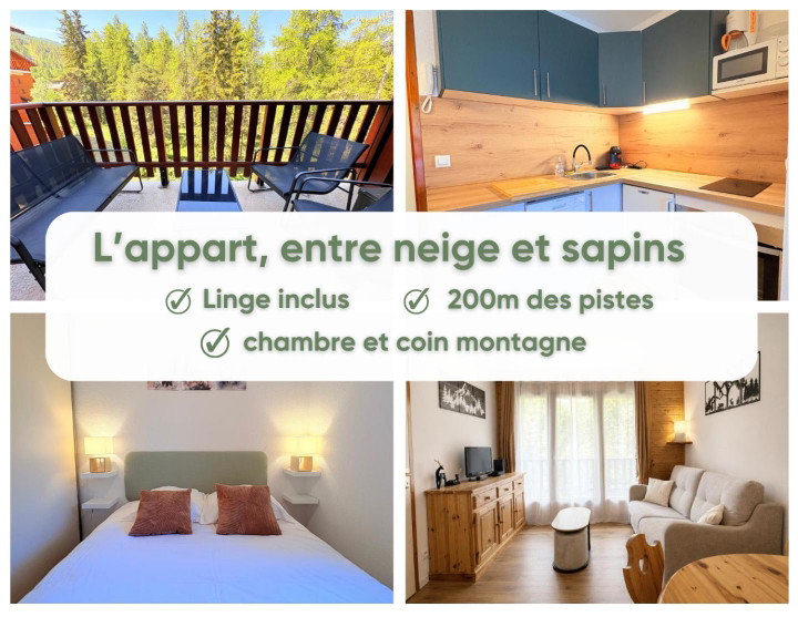 L'appart Entre Sapins Et Neige - Lus-la-Croix-Haute