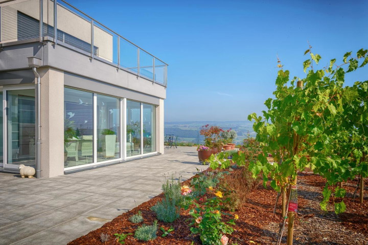Belair Beinwil - B&b - Aarau