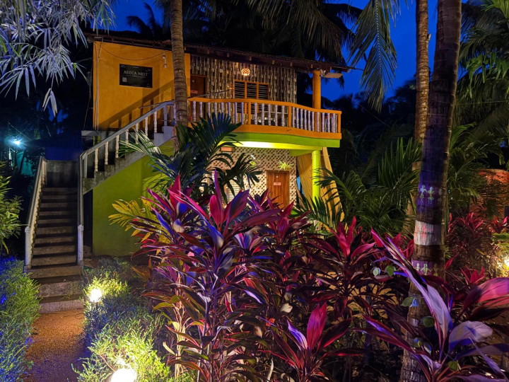 Areca Nest - Gokarna